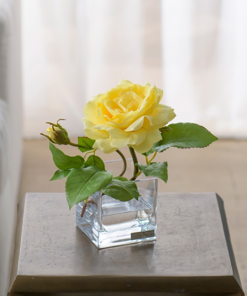 プリマローズye-XS(L257Y122)｜阪急百貨店公式通販サイト｜阪急百貨店オンラインストア